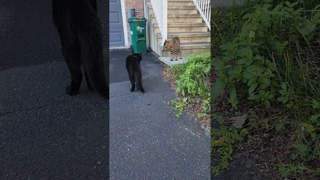 Я тебя поцелую.... потом...., если захочешь )))).