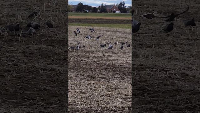 Stop thinking too much.... #nature