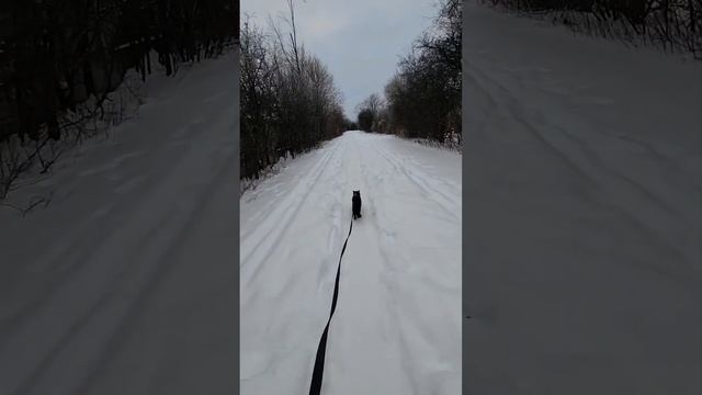 Бумбастик ))) (Boombastic)))))