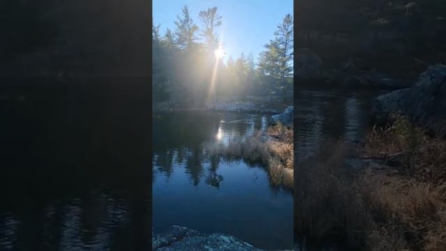 Wisdom from Omar Khayyam.....