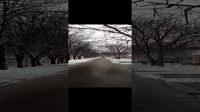 Неожиданно похолодало, никогда такого небыло и вот опять! Shorts_VID_20241227_102352