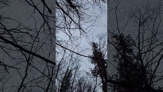 Все, что ушло уже не повторится.... (Everything that is gone cannot be changed....).