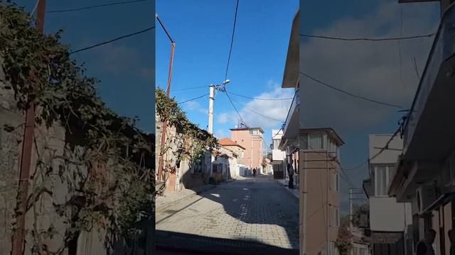 Бадемли, Турция, ноябрь, 2023, (Bademli, Türkiye, November 2023).