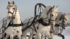Дорогой длинною.
(Дуэт)