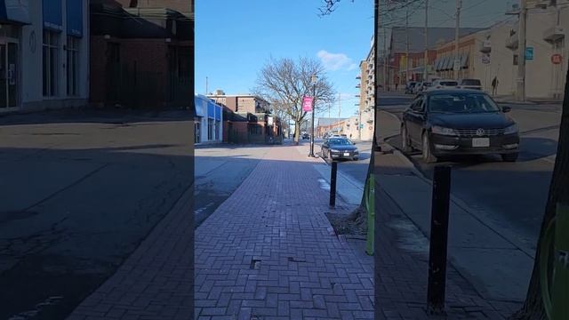 Весборо, Оттава, Канада, апрель 2024. (Westboro, Ottawa, April 2024).