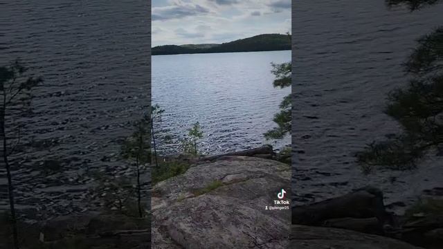 Мужчинам про женщин...... (Why Women Do What They Do (Understanding Women's Behavior)).