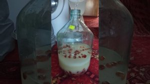 Деревенское вино!