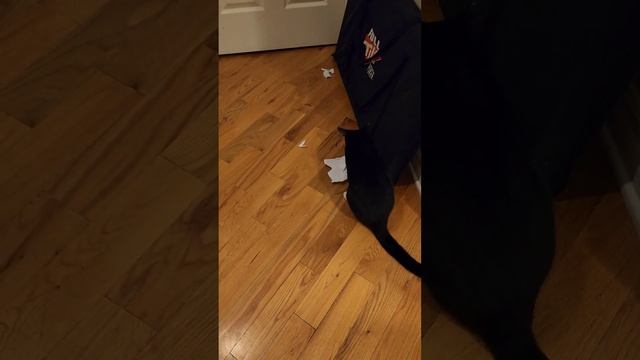 Это была моя домашняя работа.... (This was my homework......).