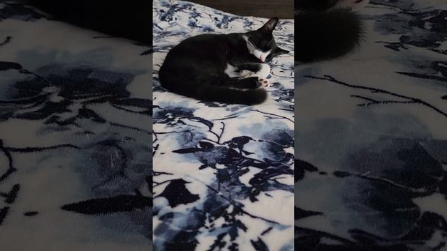 Полное расслабление ....)))))) Relaxing ...)))