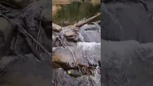 When the woman leaves....