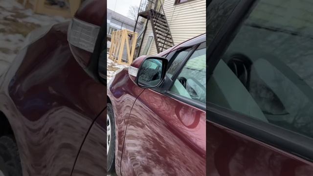 Одна из наших новинок это вот такой коричнево-розовый Toyota Vitz🤎🐎