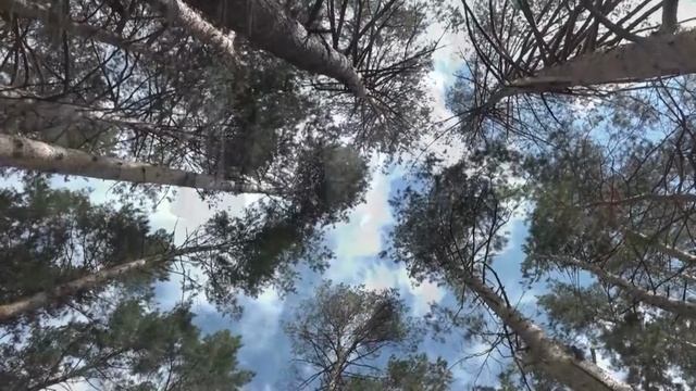 Видеофильм ГРО БРО ООО ВОИ