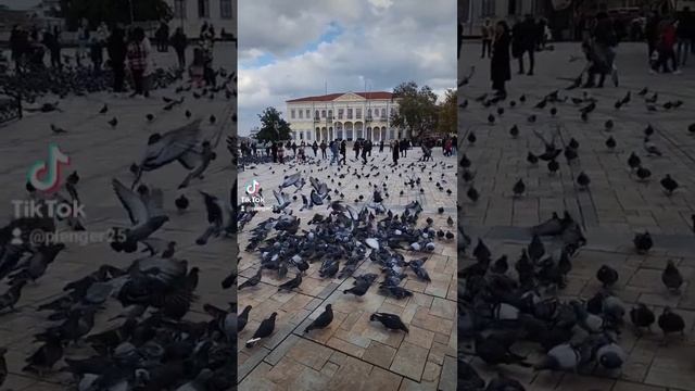 Изумительный Измир, Турция. ноябрь 2023 (Amazing Izmir, Türkiye, November 2023).