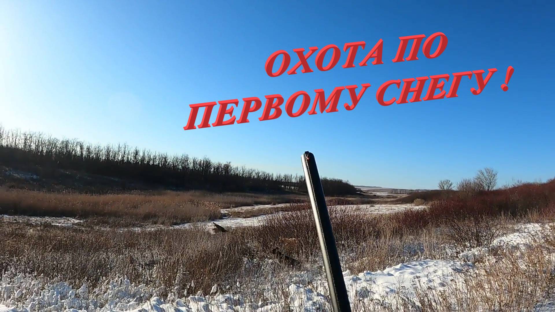 ОХОТА НА ФАЗАНА ПО ПЕРВОМУ СНЕГУ...