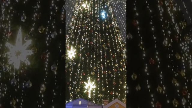 С новым годом 2025! 🎄