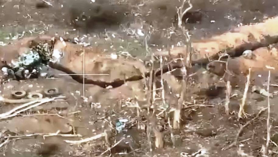 Заградотряд ВСУ расстрелял отступающих сослуживцев