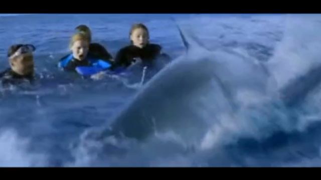 открытое море