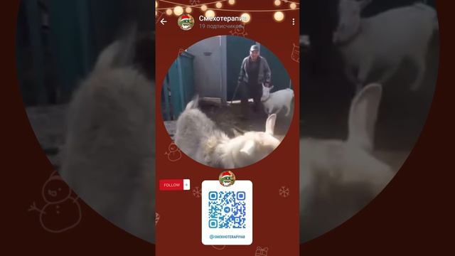 |Лучший прикол||Смеялся до слез||Туда её| #Shorts #прикол #мем #юмор