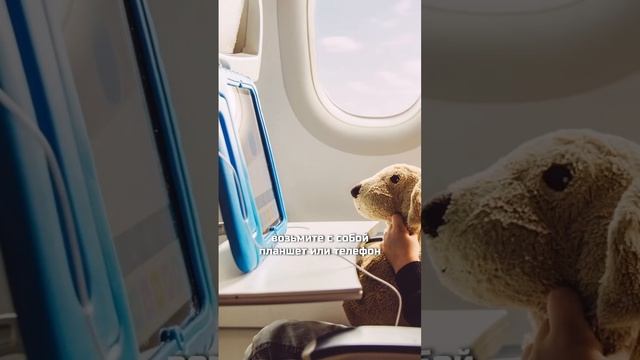 Твой полет будет испорчен! Но если… #самолет #путешествия