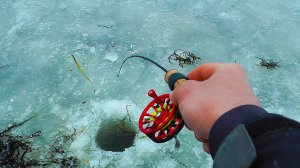 ТАКОГО Я ЕЩЕ НЕ ВИДЕЛ. ОФИГЕЛ КОГДА ОТКРЫЛ ЩУЧЬЮ ПАСТЬ. Щука с СЮРП......Рыбалка 2025