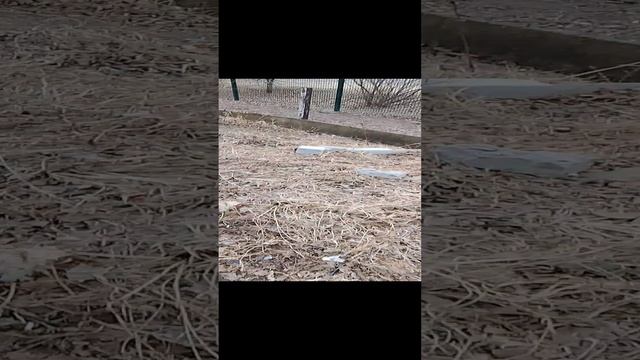 строем свой город
