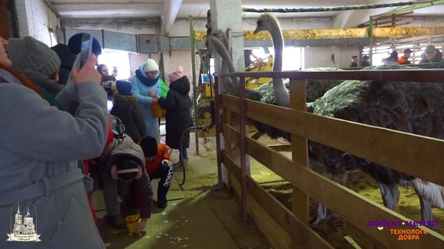 В гостях у страуса  Воскресная школа РОДНИК Ильинского храма Серпухов