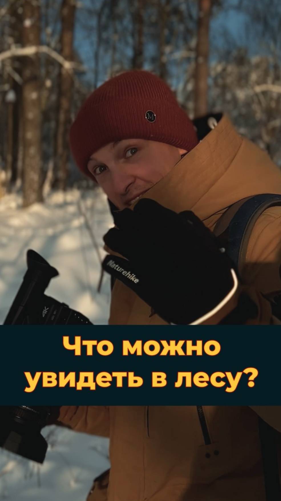 Что можно увидеть в лесу зимой🎄 #новыйгод #дом #праздник #зима #юмор #приколы #снег #уют
