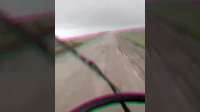 Дорога на коврижку