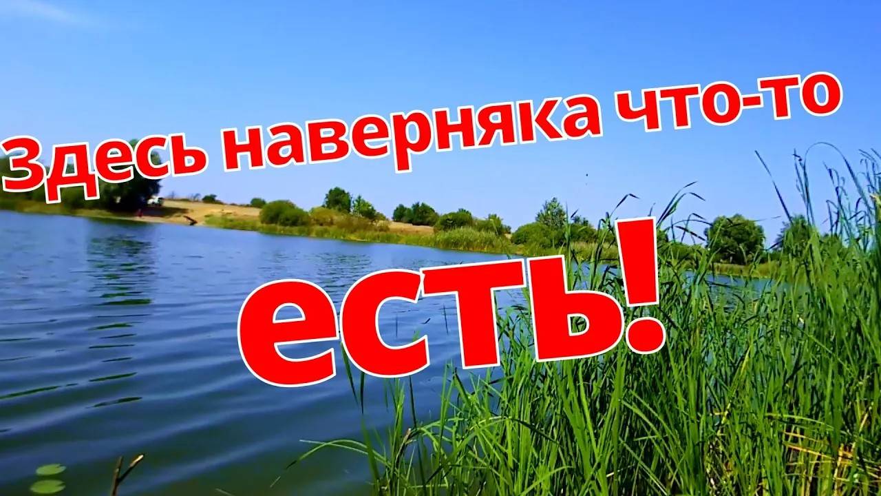 Рыбачу на пойменных озерах Дона. Рыбалка у черта на куличках