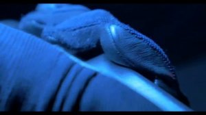 Milworld | Condor Rękawice Taktyczne Tactician Tactile Gloves