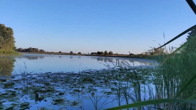 Езжу с боковым кивком по пойменным озерам Дона. Рыбалка у черта на куличках