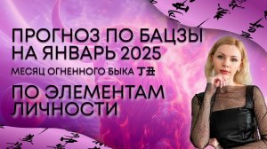 Прогноз по восточной астрологии бацзы на январь 2025 по Элементу Личности