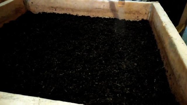 Заселение второго поколения выползка КАиМ (Сталинградского).