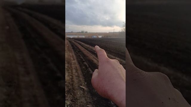 Дубль два! Кубанские козни. 😳