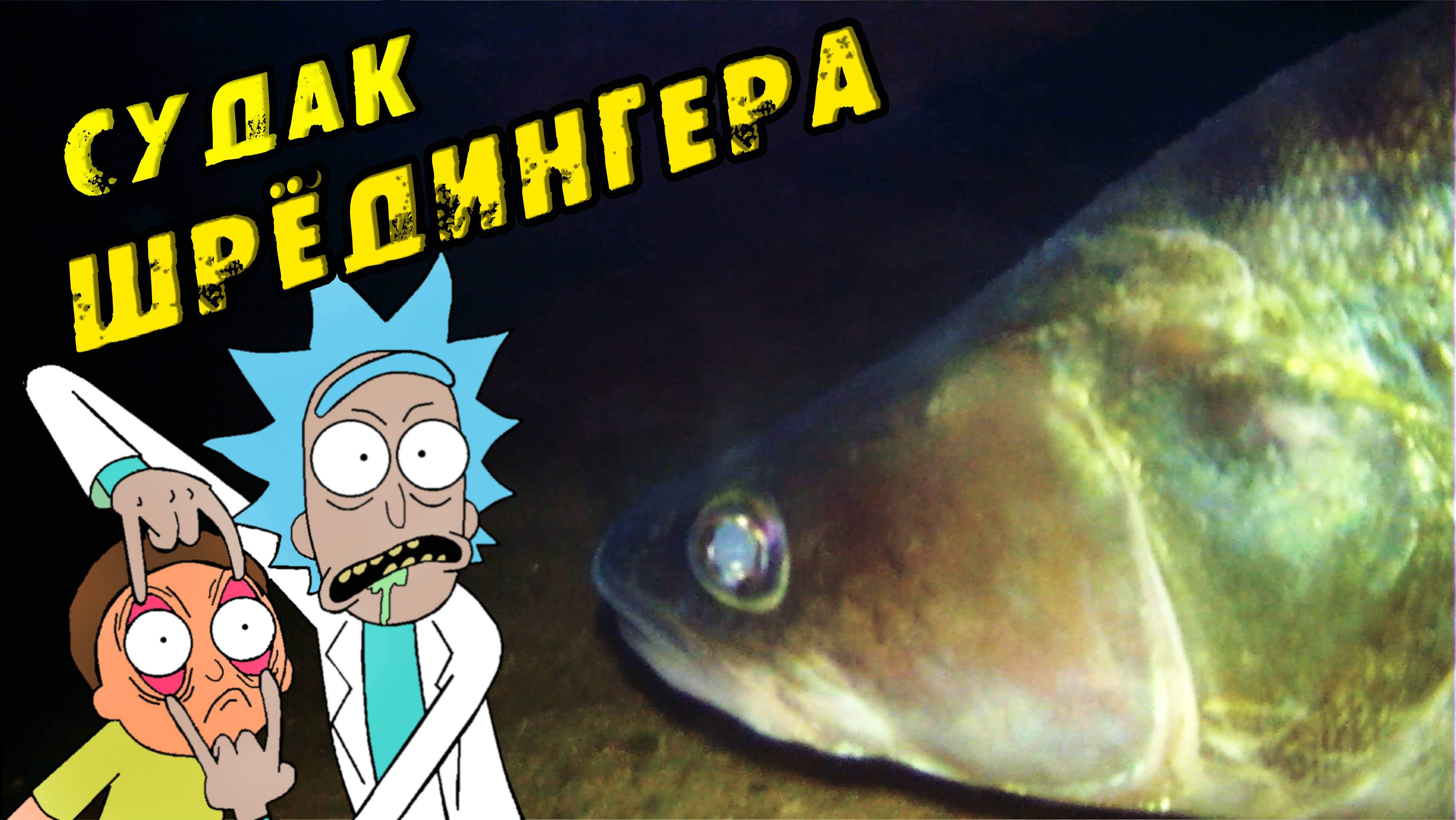 Забурились в КОРЯЖНИК и Офигели!!! Огромные СУДАКИ не хотят жрать! Зимняя рыбалка на СУДАКА 2024