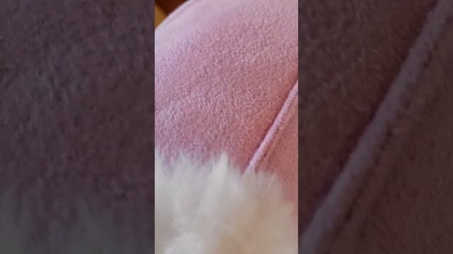 Теплые закрытые тапочки для дома