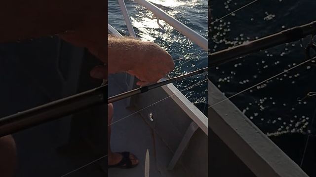 Морская рыбалка в Дивноморском ✌