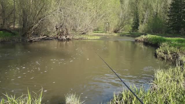 "Гольян дубасит" :) . Вспомнил детство.