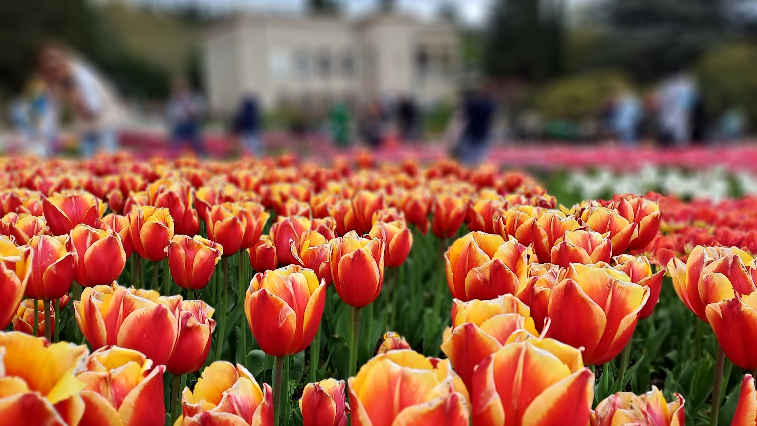 Поговорим Мой Друг,- Давай Поговорим...)))