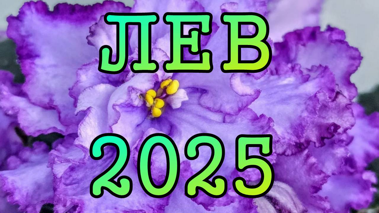 ЛЕВ таро прогноз на какждый месяц  2025 года.