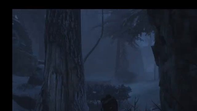 Rise of the Tomb Raider часть 2