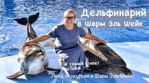 Экскурсии в Шарм Эль Шейх. Сколько стоит дельфинарий ?