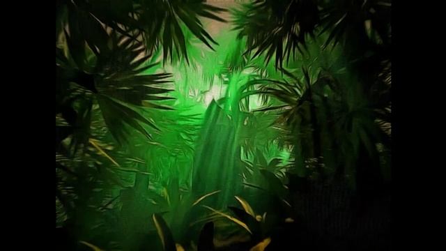 Медитация на 15 мин