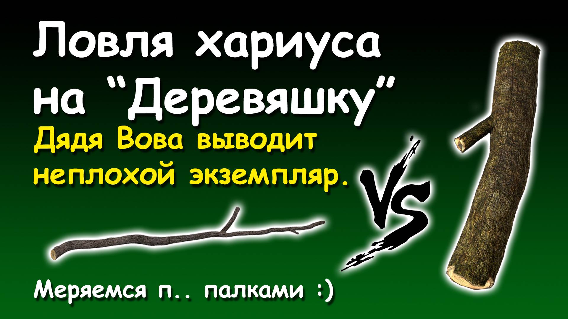 Ловля хариуса на "Деревяшку".   Дядя Вова выводит неплохой экземпляр. Меряемся п.. палками :)