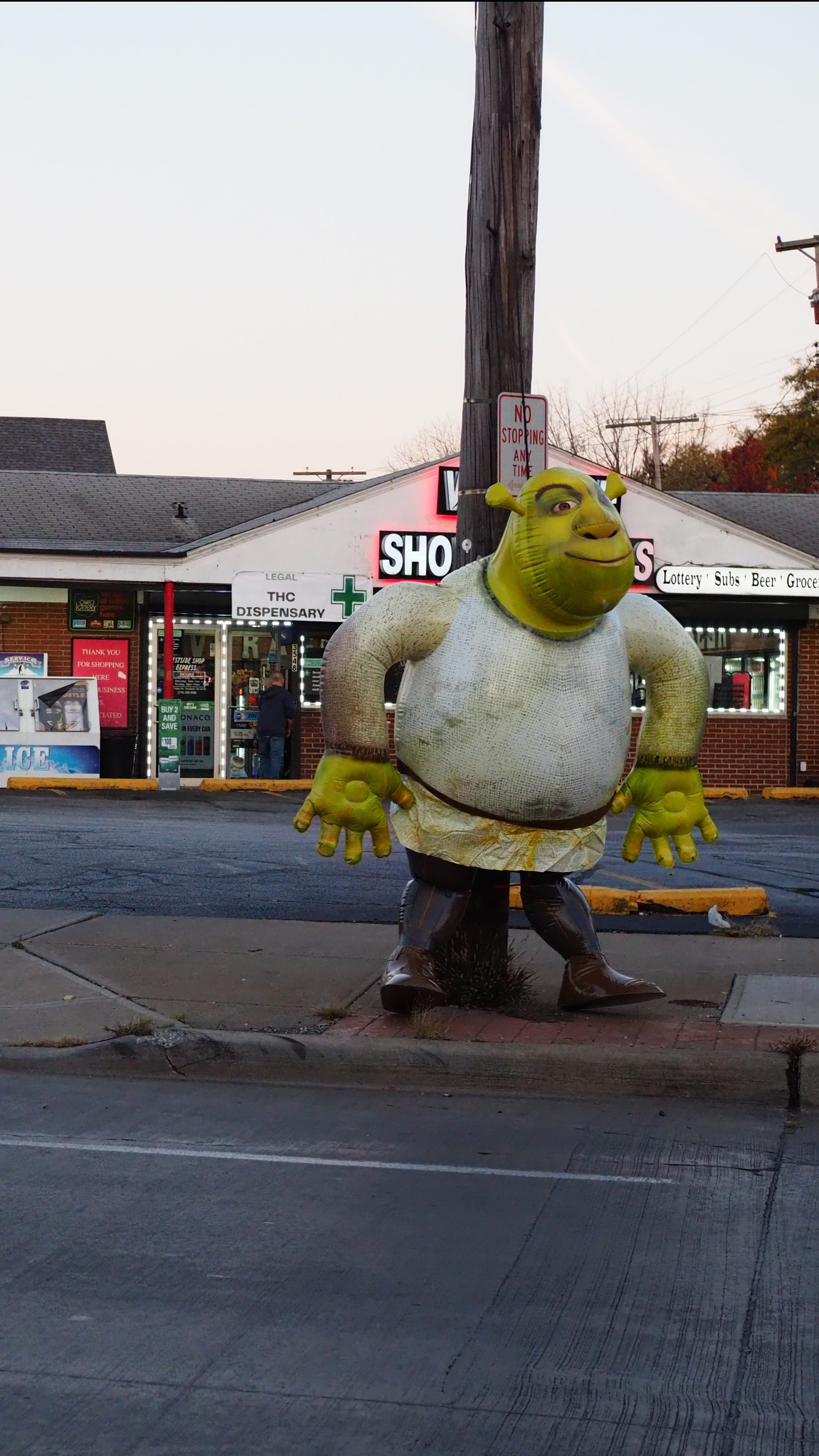 Моя женщина - бомж США 2024