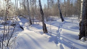 Проверка капканов часть 〽️ 8.