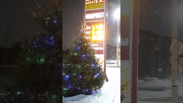 Ухта новогодняя елка и цены на бензин