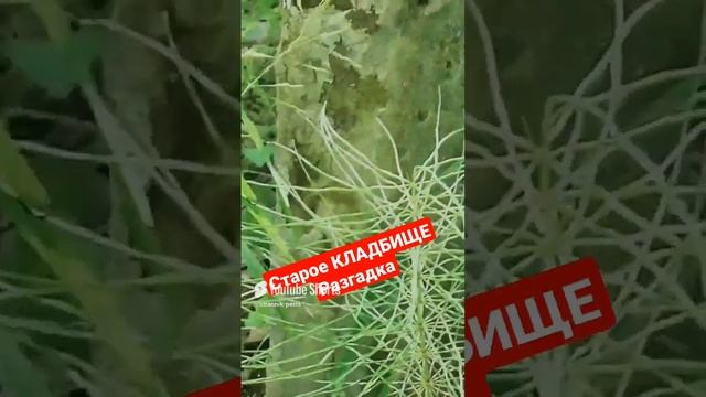 Старое КЛАДБИЩЕ. Разгадка.