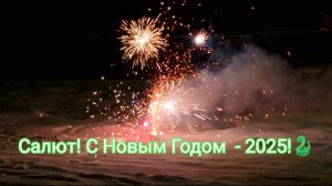 Салют! С Новым Годом  - 2025!🐍