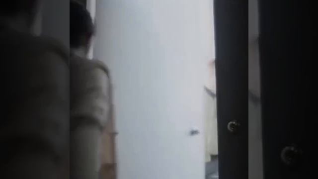 Название мы все мертвы